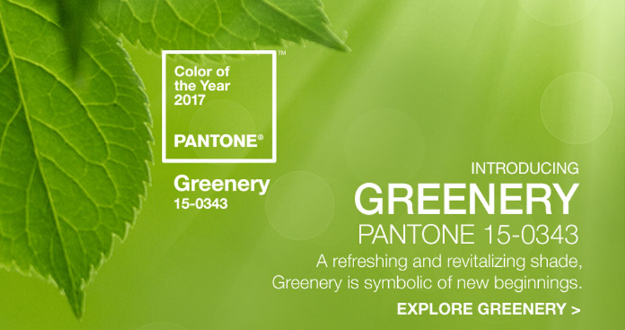 Color of the Year 2017: GREENERY - Solid Kitchen & Bath | Alexandria VA